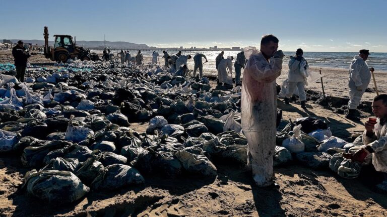 Mazutas iš Juodojoje jūroje nuskendusių Rusijos tanklaivių pasiekė ...