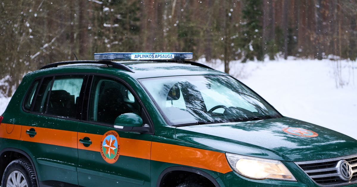 Algimantas RUSTEIKA: Kepsnys (savaitgalio feljetonas - tikras ...