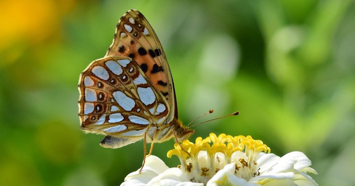 Rugpjūčio 15 d. vardadieniai ir kitos įdomybės - Respublika.lt ...