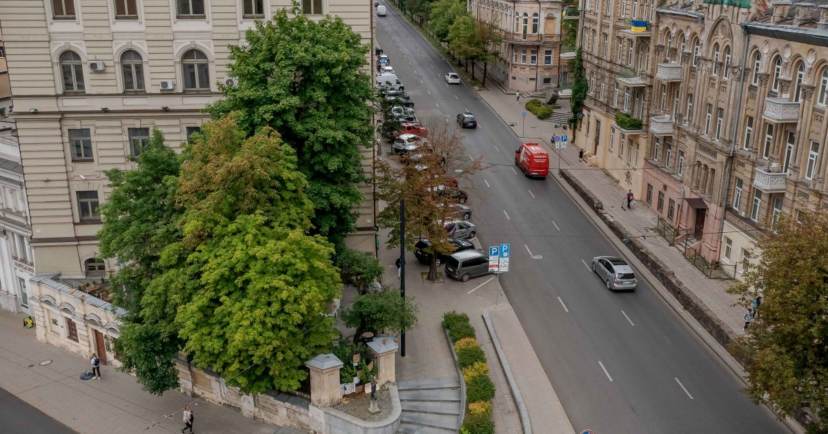 Pasiektas susitarimas dėl medžių prie R.Gary paminklo: nebus jokių greitų veiksmų - Respublika ...