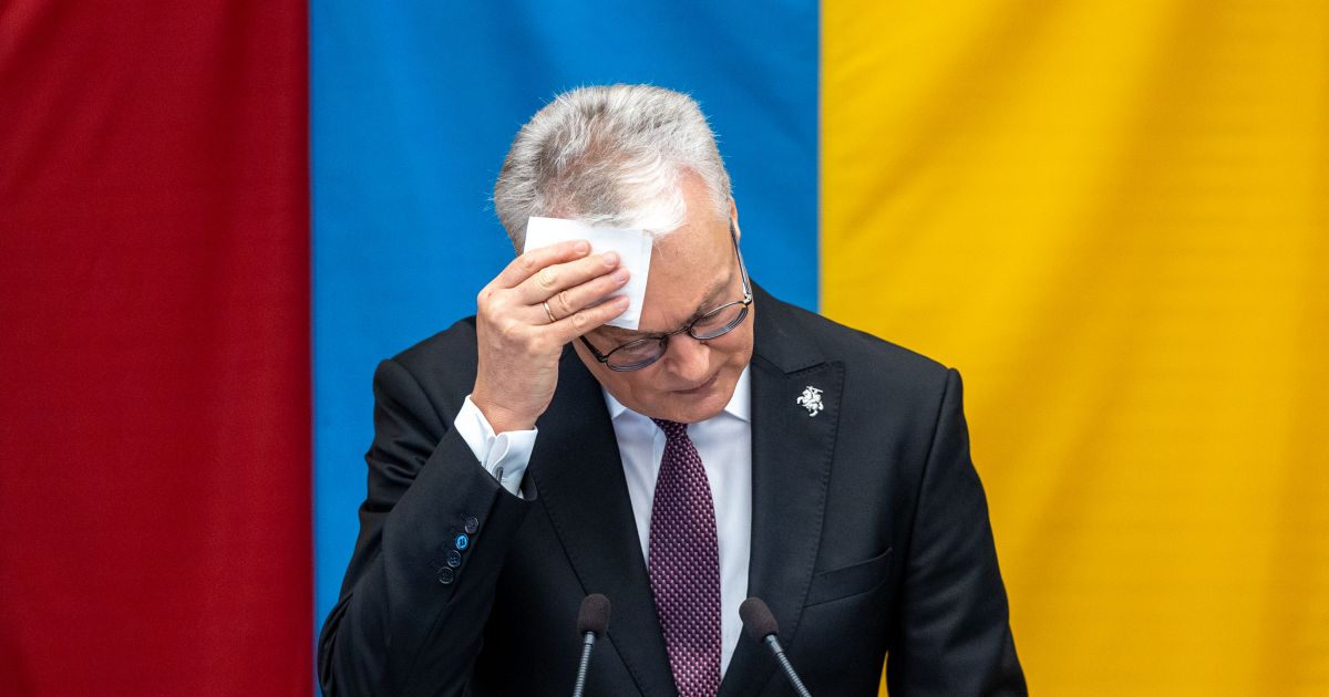 G.Nausėda apie KT sprendimą dėl partnerystės: įstatymas turi atitikti ...