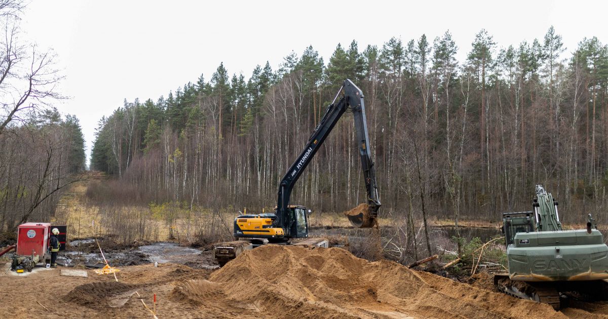 Algimantas RUSTEIKA: Kas gi atsitiko Pabradėje? (neatsakyti klausimai ...