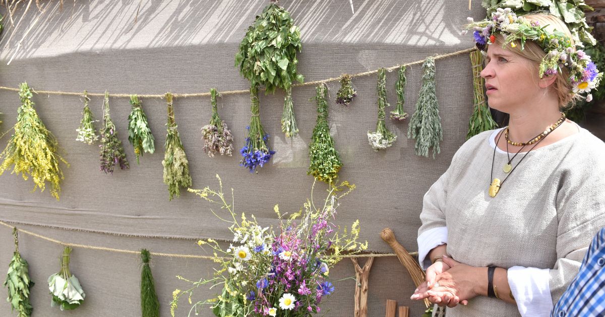 Vaistažolių rinkimas – kaip nesumaišyti ir neapsigauti? - Respublika.lt ...