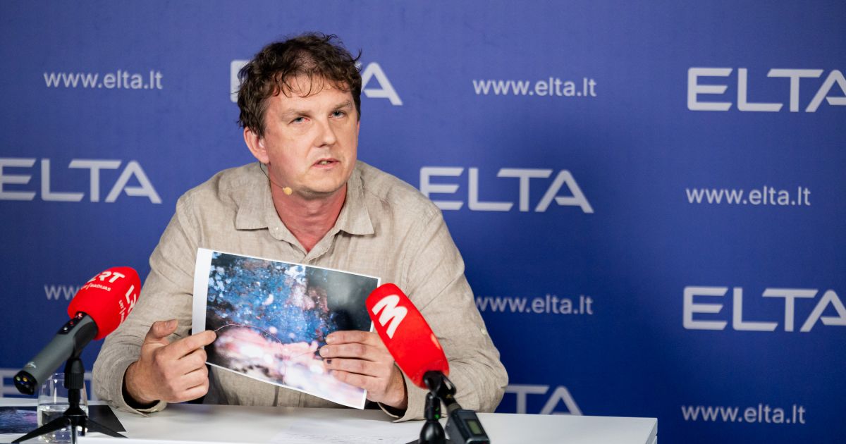 Saulius Poderis: Katedros požemiuose gali būti Vytauto Didžiojo ...