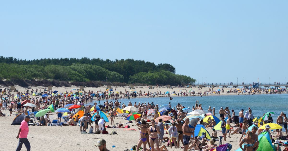 Algimantas RUSTEIKA: Vizija Lietuvai - Respublika.lt - Naujienų ir ...