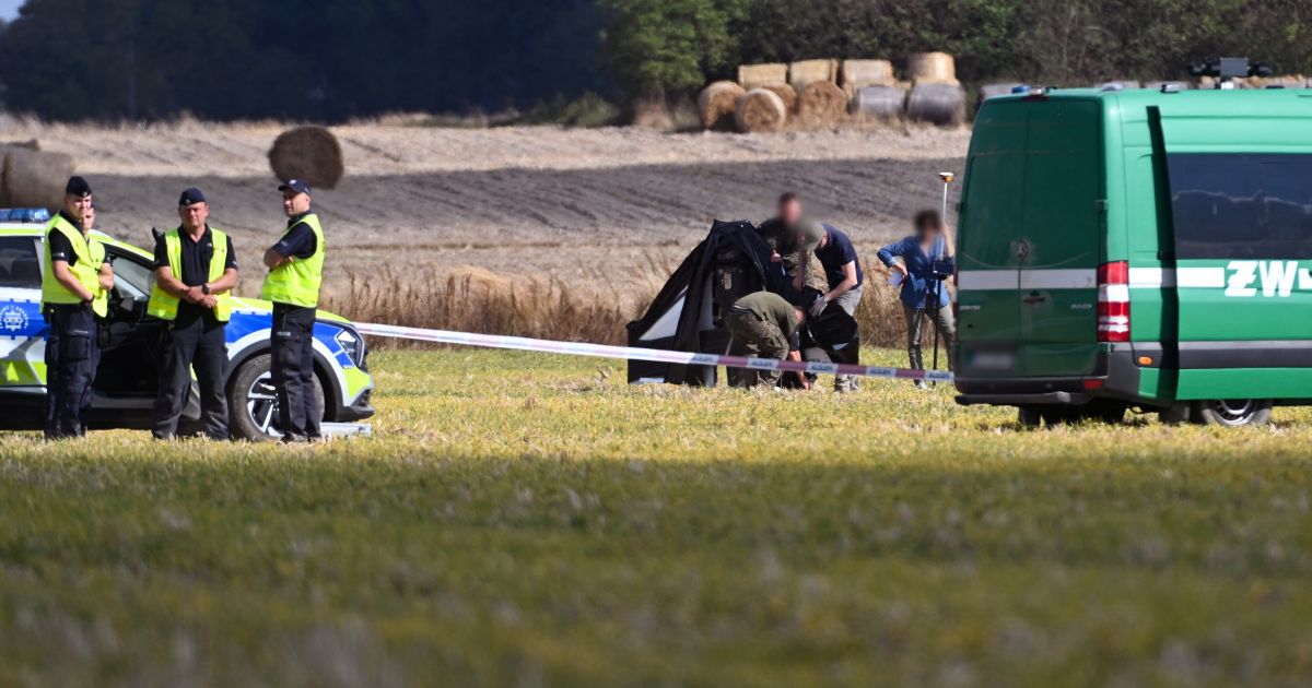 Algimantas RUSTEIKA: Apie dronų isteriją ir pamokas - Respublika.lt ...